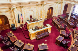 An In-Depth Look at Its Roles and Responsibilities of the USA Senate ...